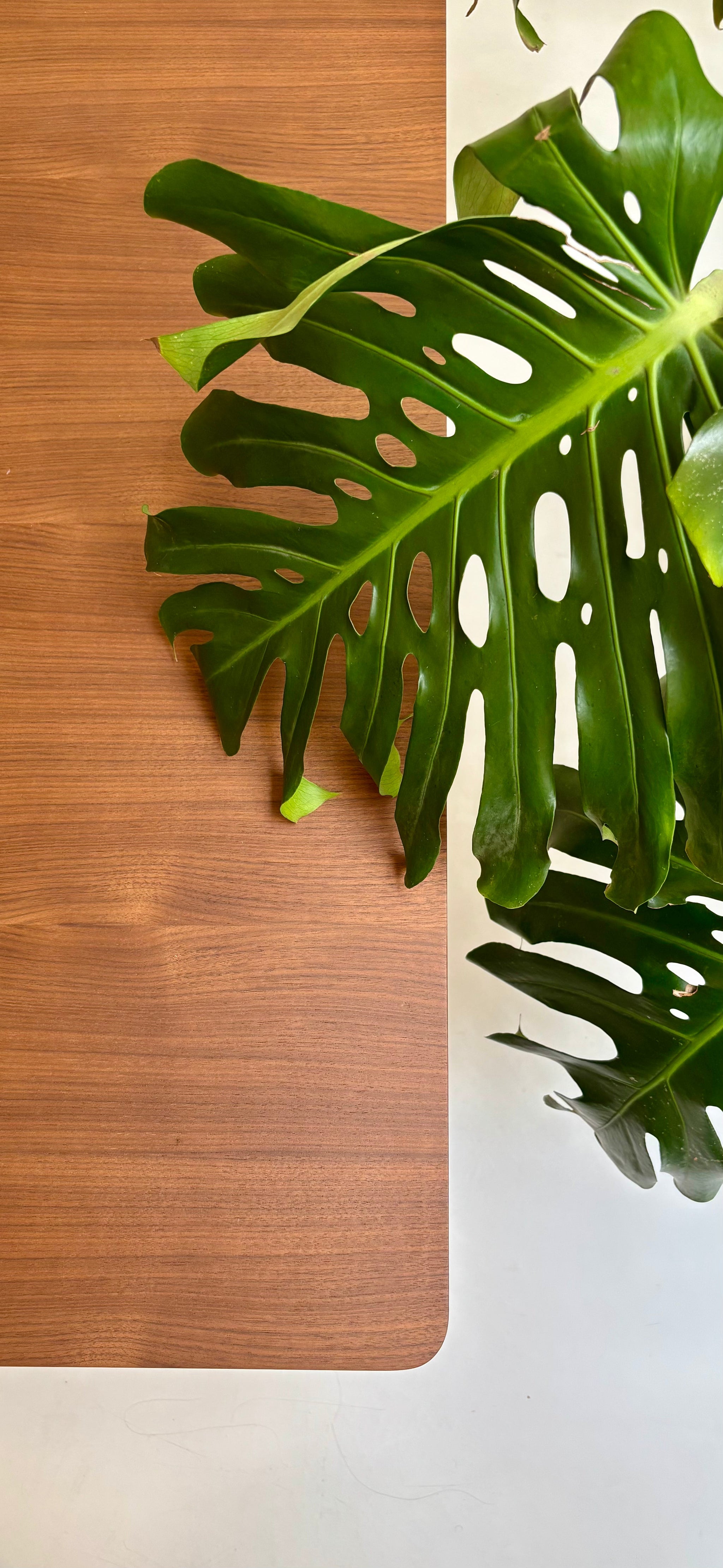 Luxury and Functionality: The Rise of Designer Desks in the Modern Hom
